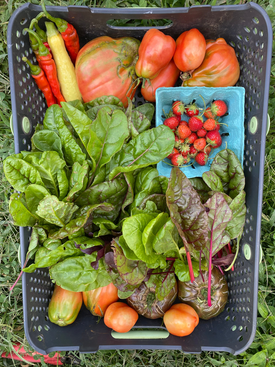 Maranatha Farm