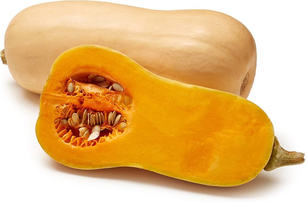 Butternut Squash – Maranatha Farm
